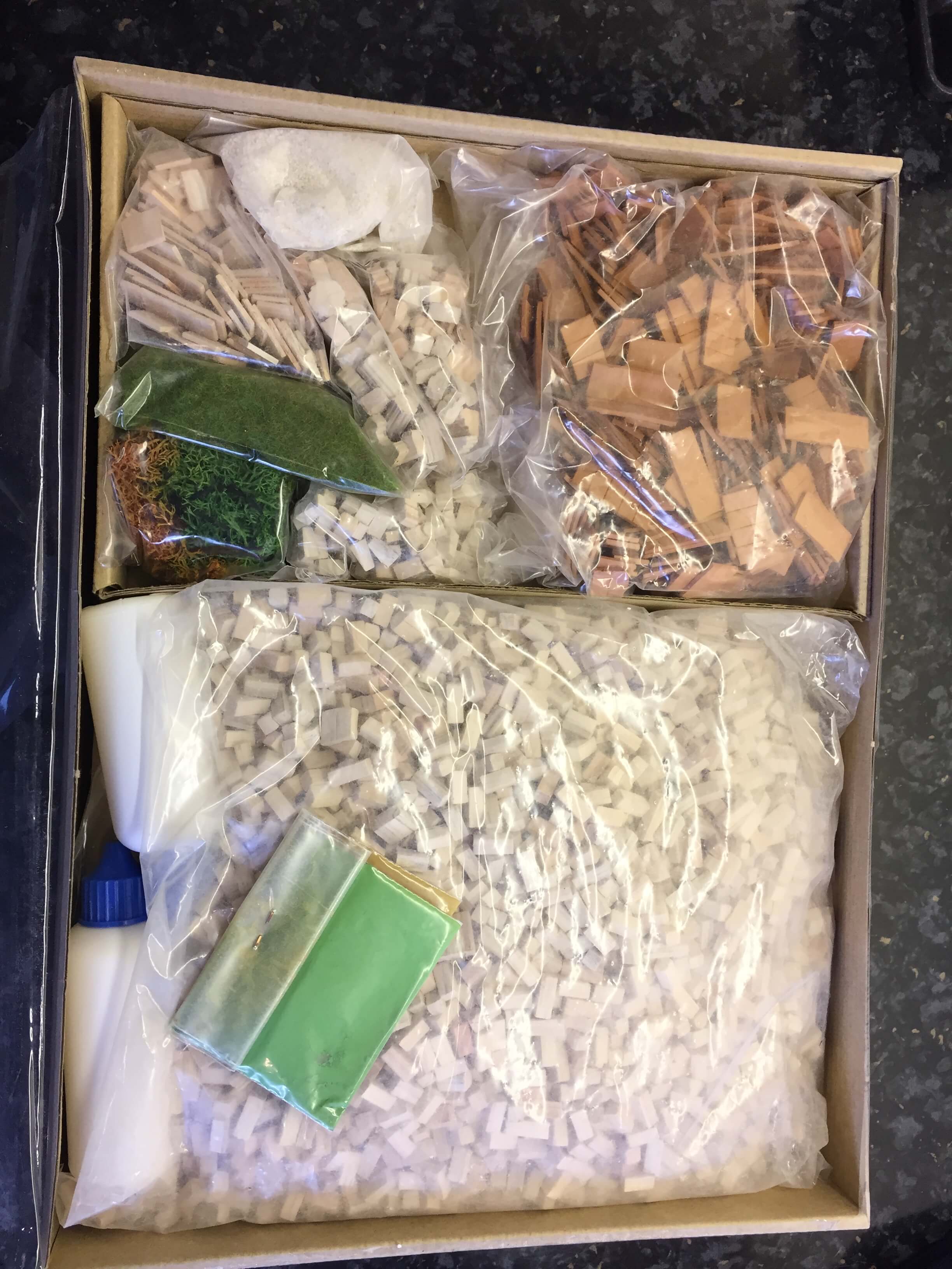 Aedes ars Medieval Village model kit - Keeps you occupied with a real ...